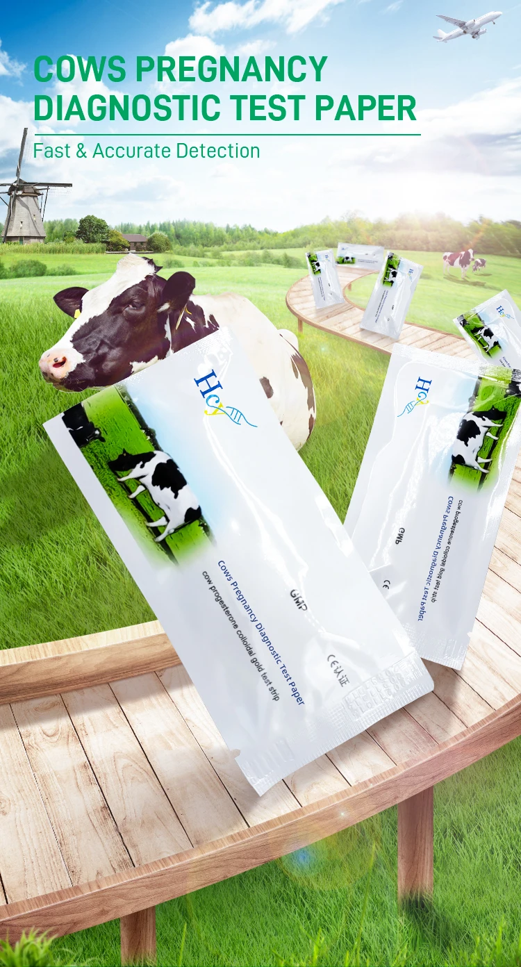 Cow Early Pregnancy Test Paper Bovine Pregnancy Test Kit Cattle ...