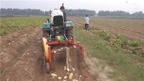 Farm Tools Potato Digger Tractor Mounted Single Row Potato Harvester ...