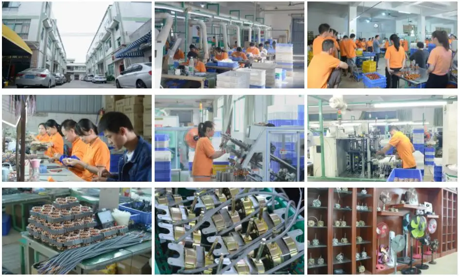 Zali Dongyang Container 230v Ventilation Small AC Motor Fan