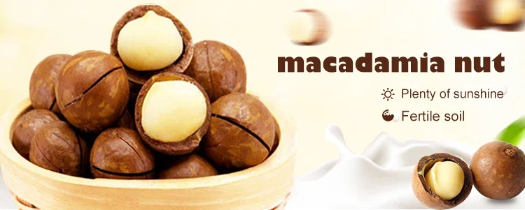 Large Size Macadamia Nuts Roasted Macadamia Nut Prices Wholesale - Buy ...