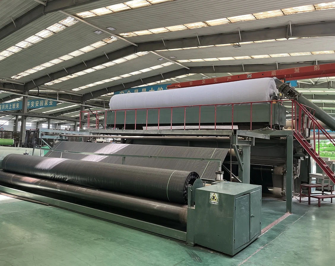 Landscaping Drainage Mat 3D Composite Drainage Geonet Compound Net for ...