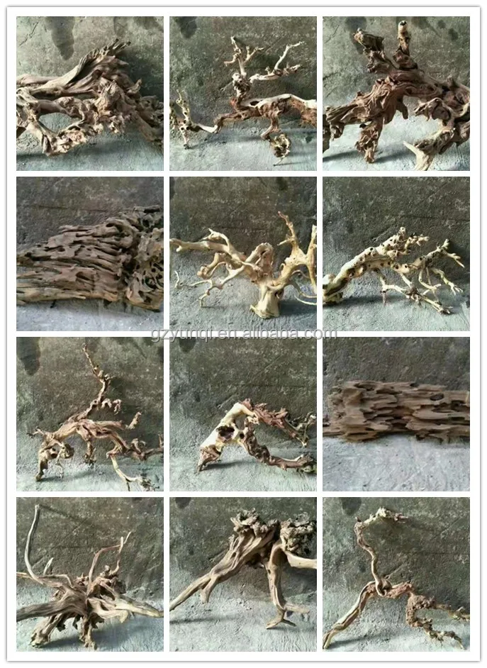 Yellow Spider Wood - Natural Aquarium Driftwood Decor