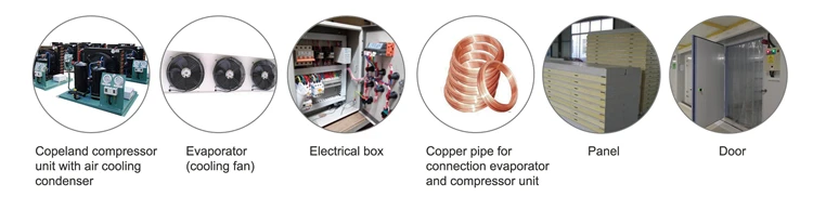 Customizable Cold Storage Solutions for Hotels & Hospitals