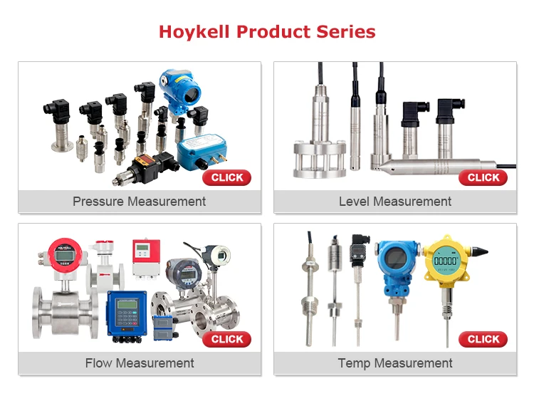 Holykell HTS100 Temperature Controlled PT100 Sensor for Water
