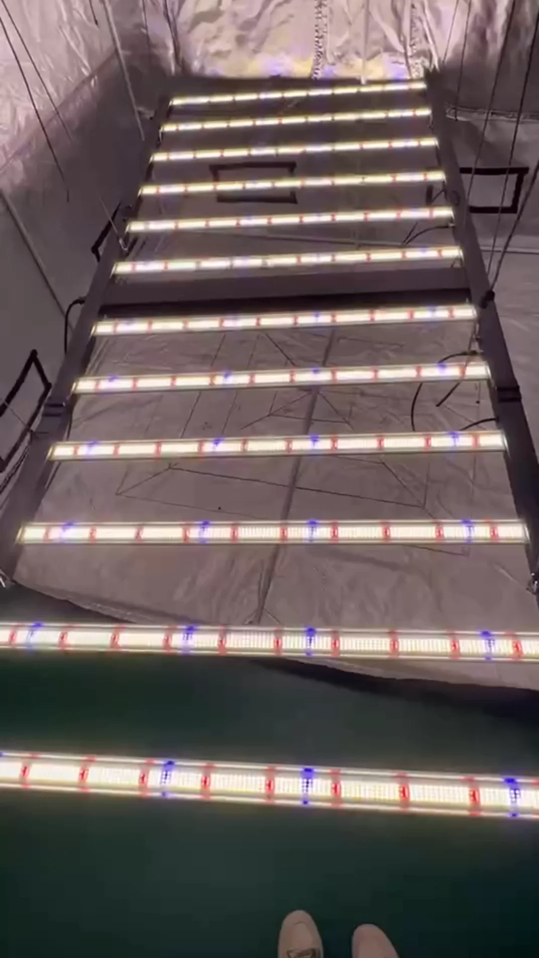 Enhance Houseplant Growth with 1000W LED Plant Grow Light