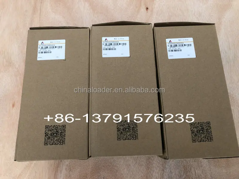 4110002989004 FILTRO DE 1000424916 SDLG L956F cargadora de ruedas de ...