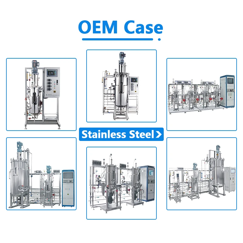Alibaba.com: Lab1st Stainless Steel Microbial Fermenters pilot ...