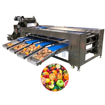 Damatic Hot Selling Round Fruits Vegetables Selection Sorting Roller ...
