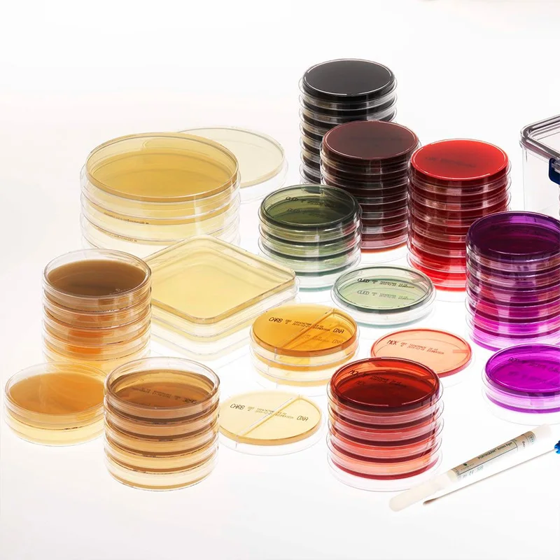 HCY Cell Culture Media - Premium Lab Research Solutions