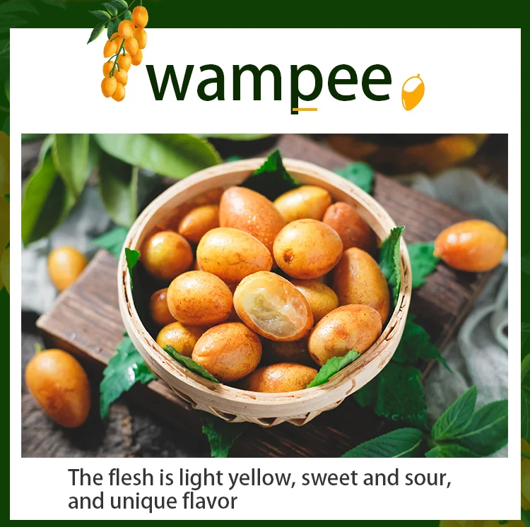 1kg Wholesale Fruit Jam Manufacturer Wampee Flavors Fruit Jam For Fruit ...