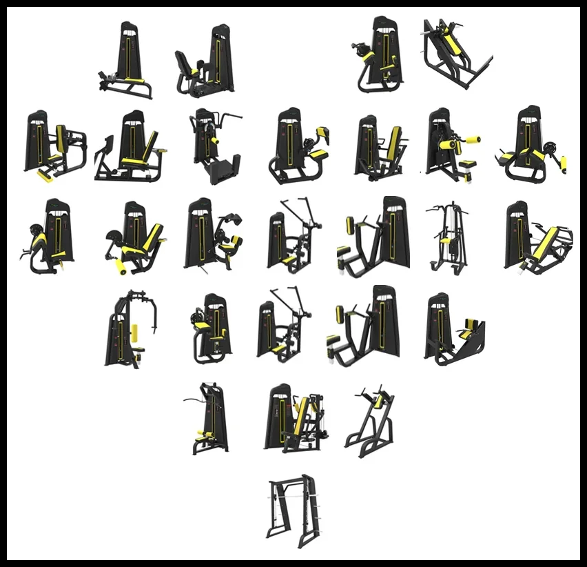 Selectorized Weight Stack Machine Camber Curl Triceps Biceps Curl ...