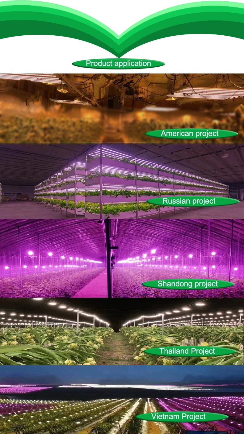 Full Spectrum 3030 SMD LED Grow Light for Indoor Plants - High ...