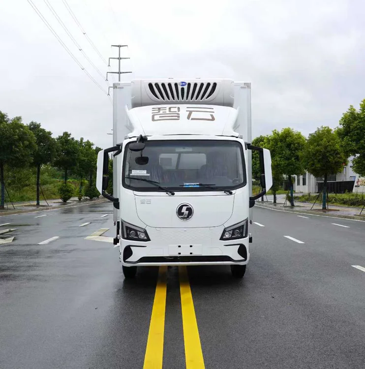 Shaanxi Automobile Pure Electric Mini Box Type Refrigerated Transport ...
