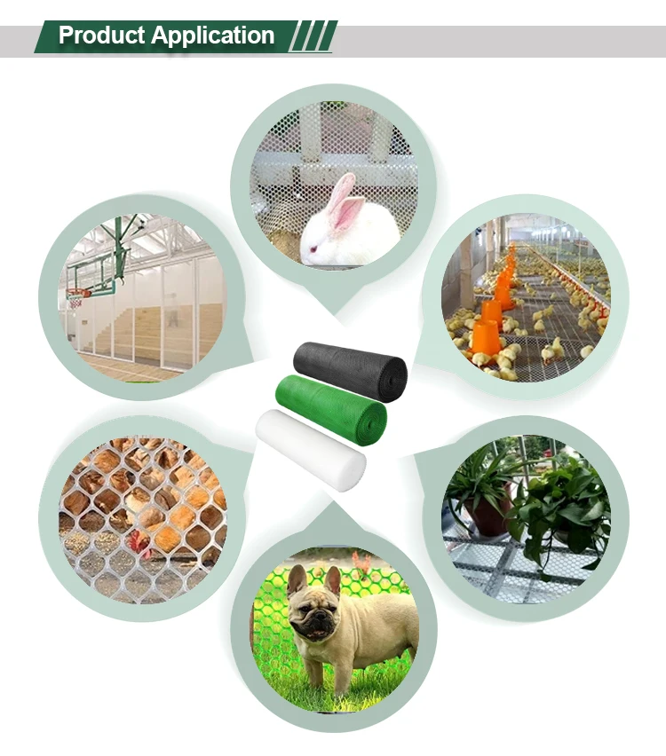 Plastic Poultry Chicken Aviary Cage Netting Plastic Mesh Plastic Flat ...