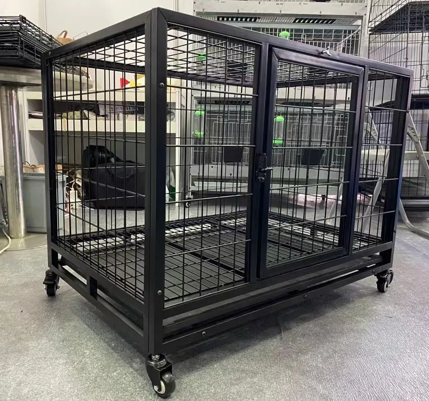 Custom Dog Kennel Displays Professional Walk-in Kennel System Dog Cage ...