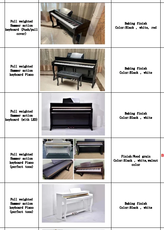 Professional OEM Electronic Organ Piano Keyboard with 61 Keys