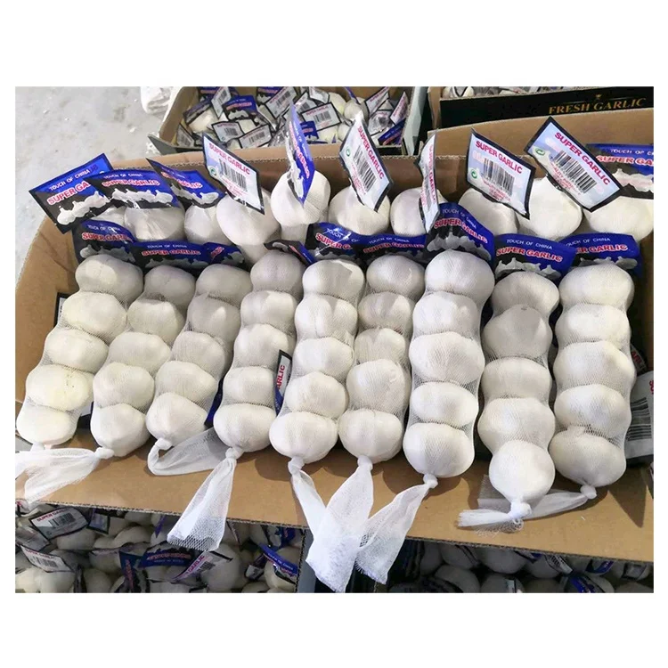 Fresh Pure White Garlic Chinese Snow White Garlic High Quality 5p Small ...