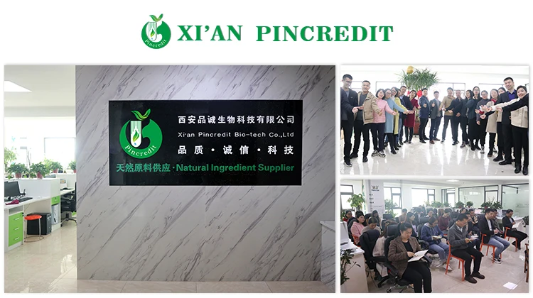 Organic Blue Matcha Butterfly Pea Flower Powder - 450 Mesh