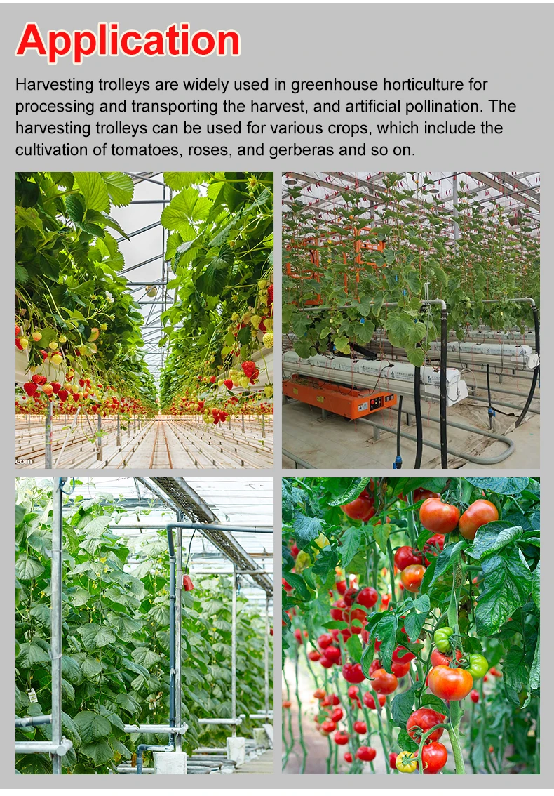 SINOLIFT Safe Greenhouse Harvest Trolley - 200 Kg Capacity