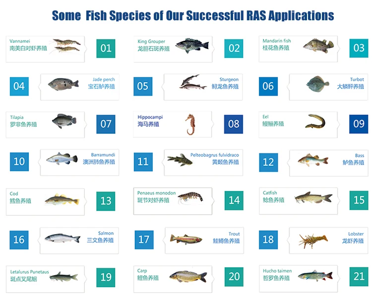 Ras System Aquaculture Pond Ras Farming System,Aquaculture Shrimp ...