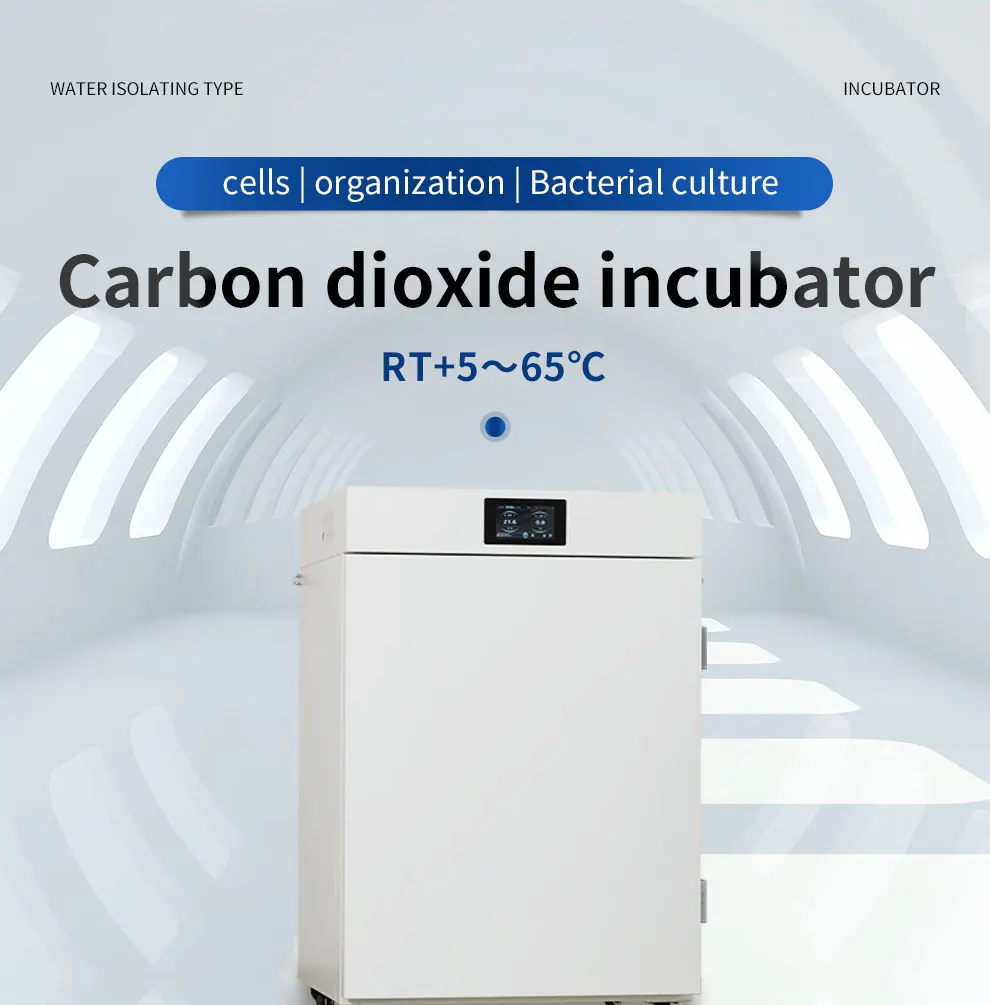 Digital Small Lab Incubator Co2 Incubator Electric Constant-temperature ...