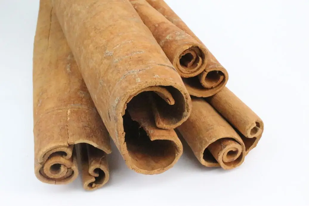 Vietnam Cassia Cinnamon - Premium Quality Dried Spices