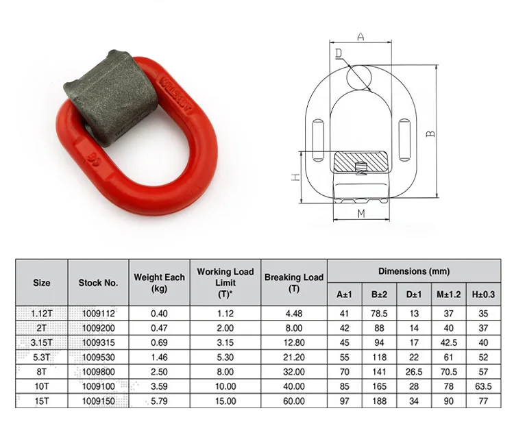 Heavy Duty G80 Lifting Safety Forged Welded on D Ring