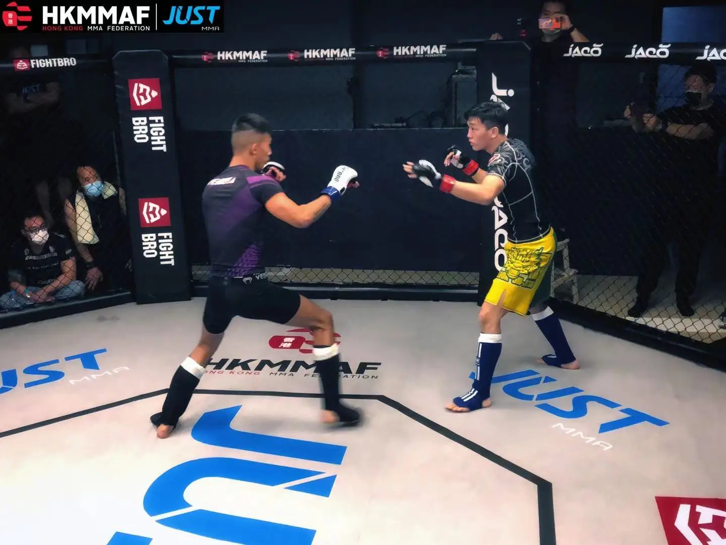 Fightbro AG Sparring Elevated Cage MMA - Elevate Your Training