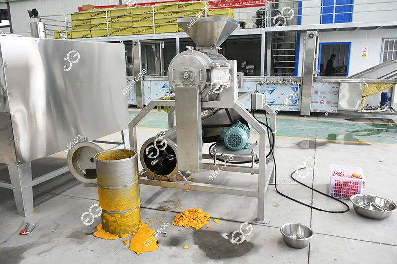 Gelgoog 1t/h Mango Juice Extraction Mango Processing Equipment Mango ...