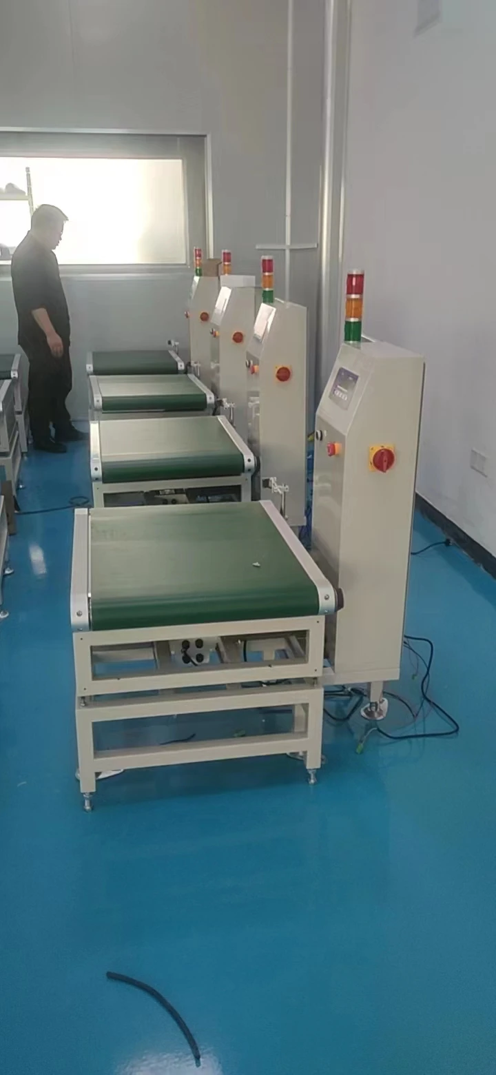 Super Automatic Weight Checker Conveyor - Dynamic & Accurate
