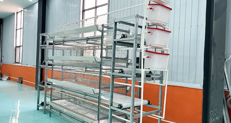 10000 Birds Laying Hens Chicken Cages - Manual Manure Removal