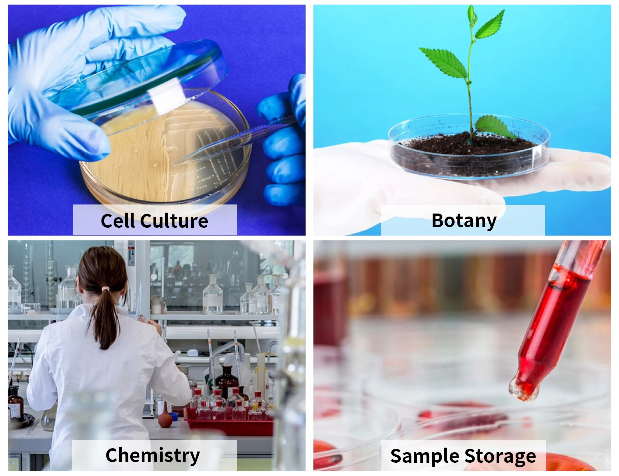 Laboratory EO Sterile Lab Disposable 90mm 150mm Bacteria Tissue Culture ...