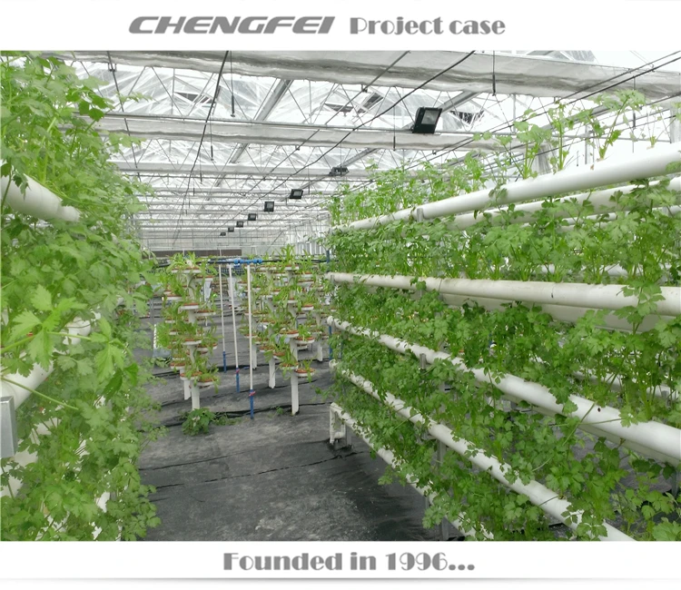 Agricultural Display Complete Pvc Pipe Hydroponic System Hydroponic ...