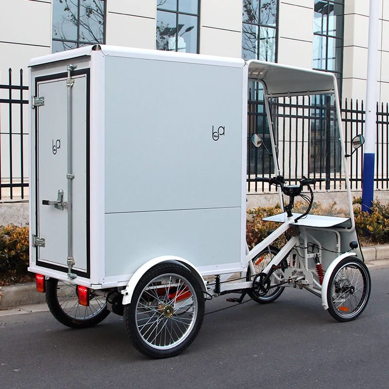 Heavy Loading 4 Wheels Electric Cargo Tricycle with Cabin