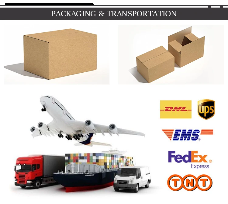 Science Experiments Engaging AI Toy Module Social Interaction ...