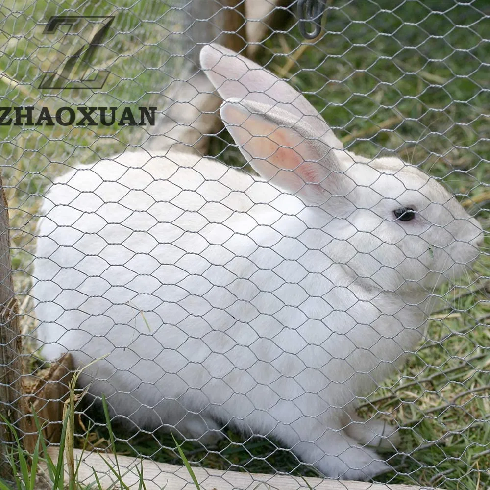 Hexagonal Chicken Iron Wire Mesh Iron Wire Mesh for Poultry| Alibaba.com