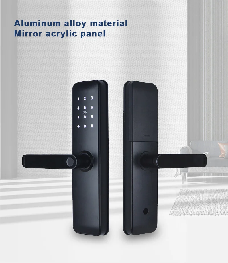 Tuya Ttlock Smart Door Lock - Biometric Fingerprint Security
