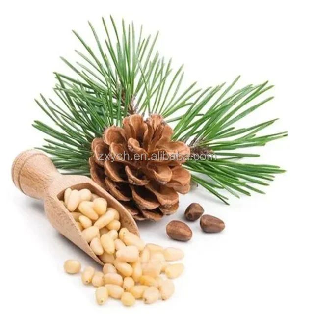 Chinese Raw Organic Pine Nuts Kernel In Shell Vs For Sale Prices Of ...