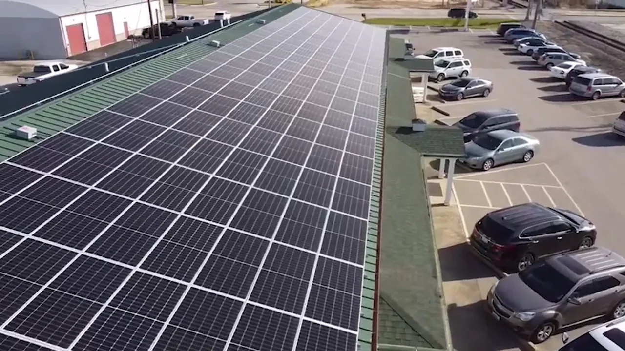 Trina All Black Solar Panel Half Cell Mono 445w 450w 455w Trina Solar ...