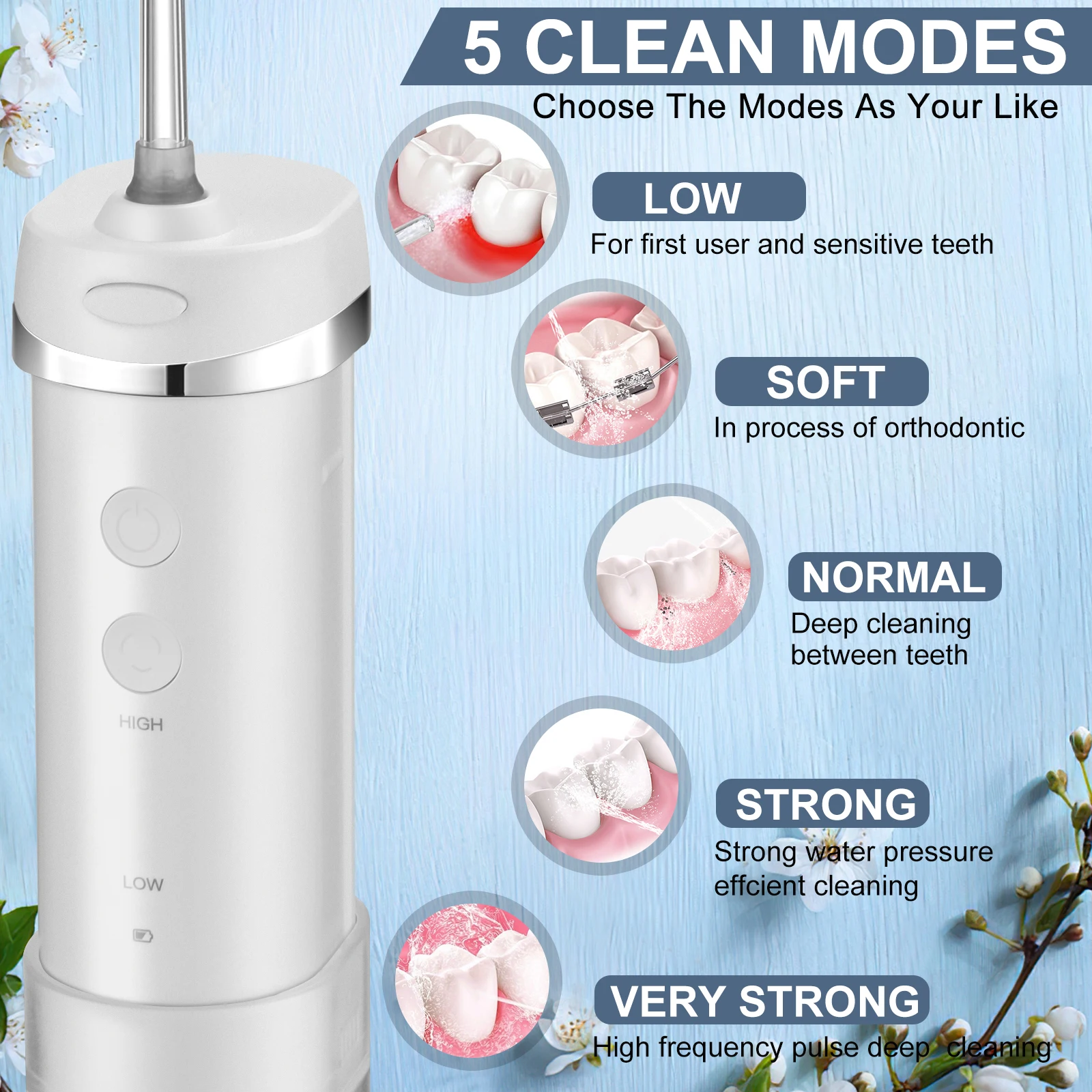 H2ofloss Portable Electric Cordless Water Flosser Ultrasonic Oral Irrigator 5 Modes Professional ...