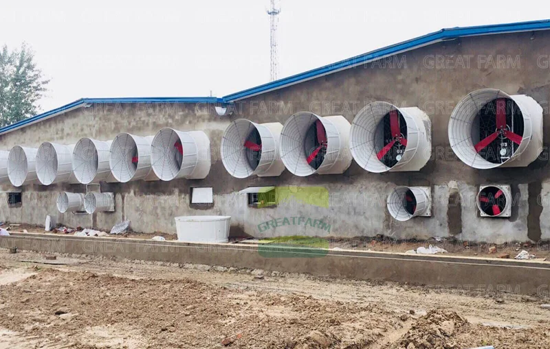 Great Farm 2023 Top Quality Poultry Farm/house Air Ventilation Fan ...