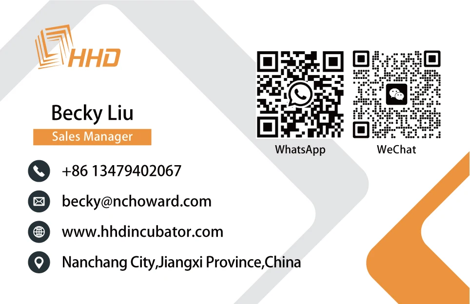 HHD Full Automatic Fish Hatchery Equipment - High Quality