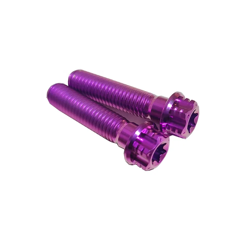 Customization M8 Gr5 Titanium Hex & Torx Head Flange Bolts Titanium ...