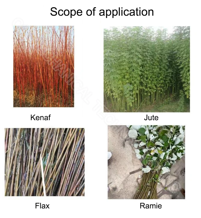 Factory Kenaf Abaca Fiber Extractor Machine Fresh Hemp Fiber Extractor ...