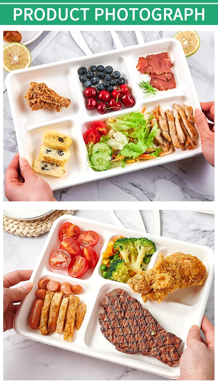 Compostable 5 Compartment Paper Plates Eco-friendly School Lunch Plates ...