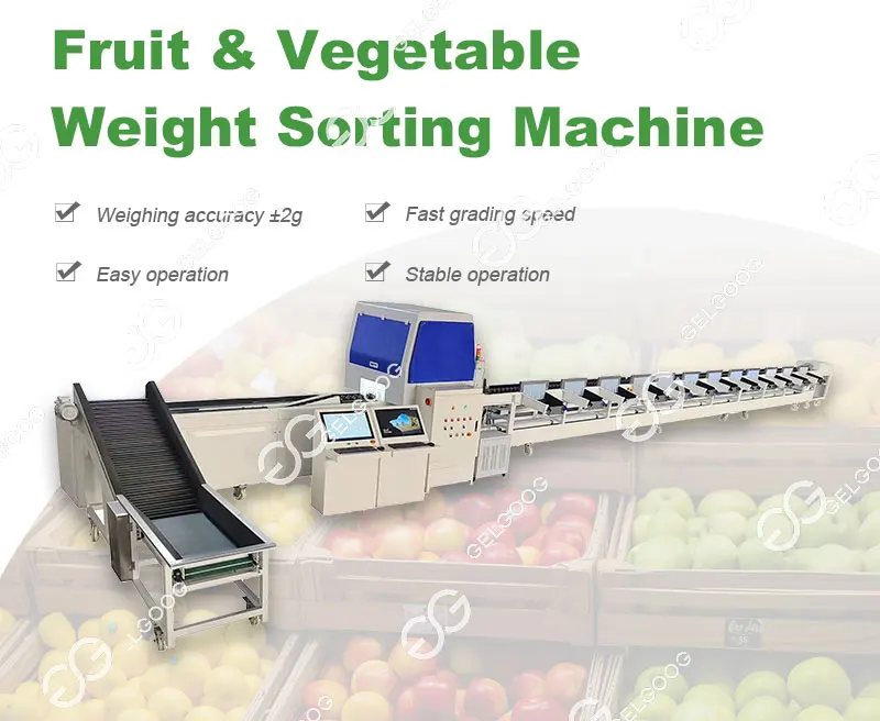 Efficient Dragon Fruit Sorter Classifier - High Efficiency