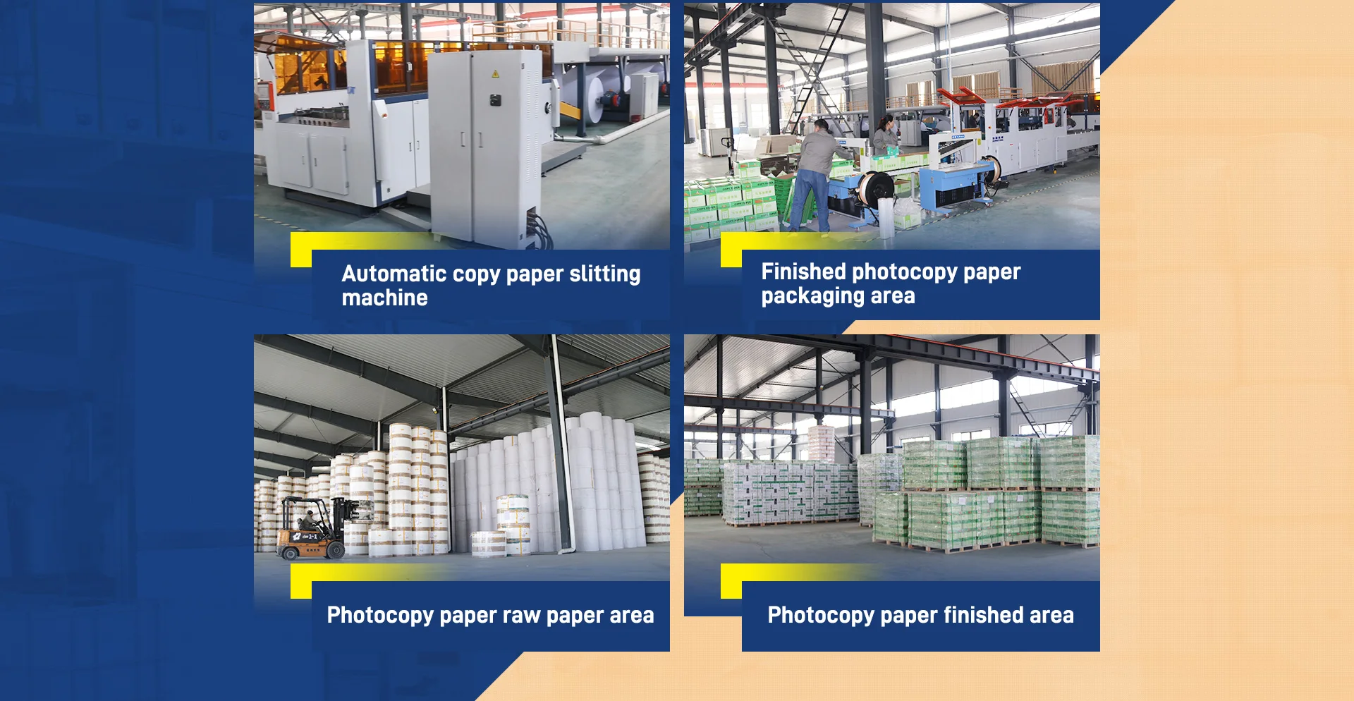 Company Overview - Guangdong Chenxin Paper Co., Ltd.