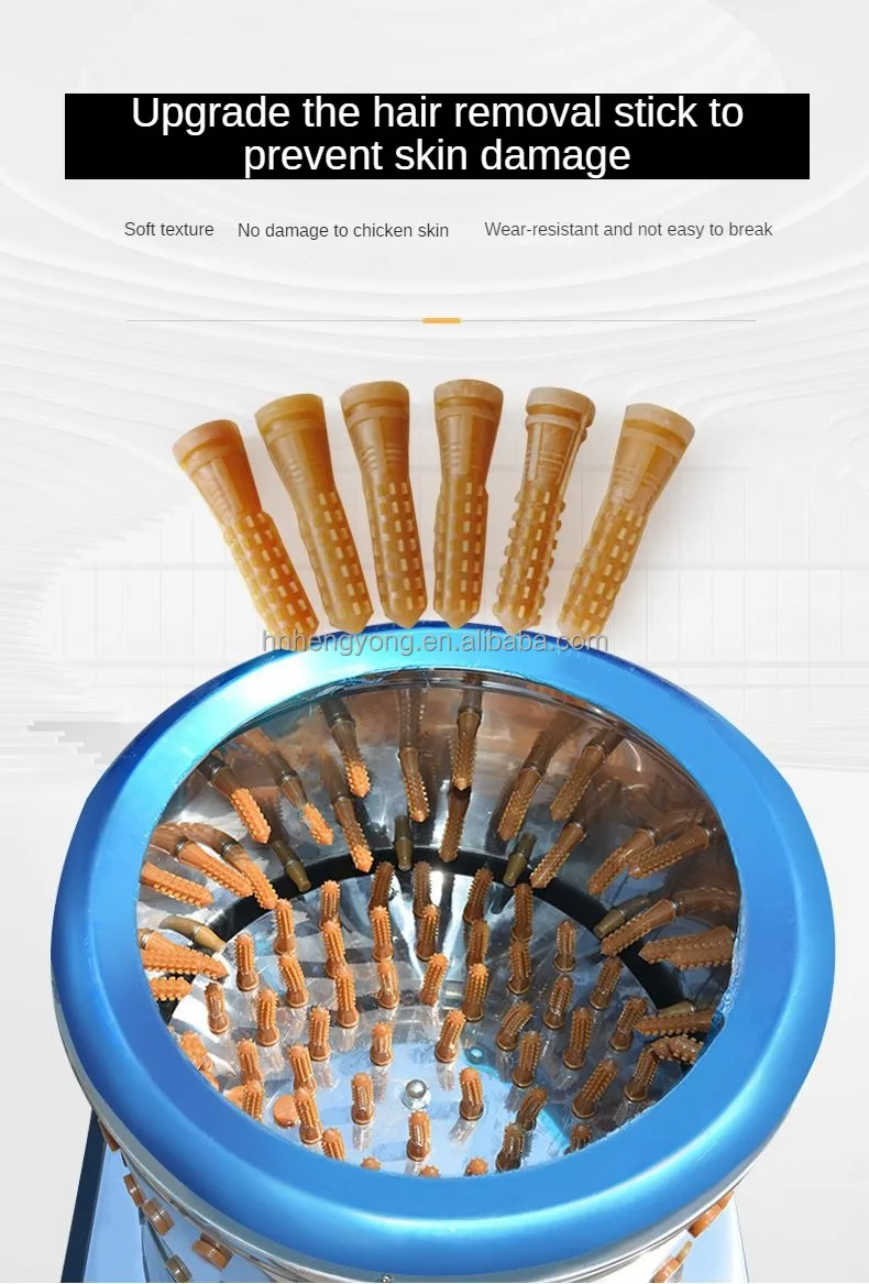 Commercial Stainless Steel Automatic Feather Removal Bird Turkey Pigeon ...