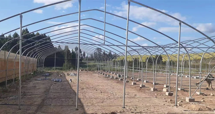 GT Agricultural Greenhouse Tunnels - Efficient Ventilation