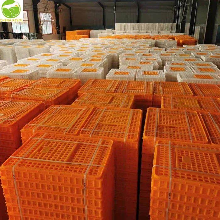 Farm Plastic Poultry Cages to Transport Live Chicken Transport Cage for ...